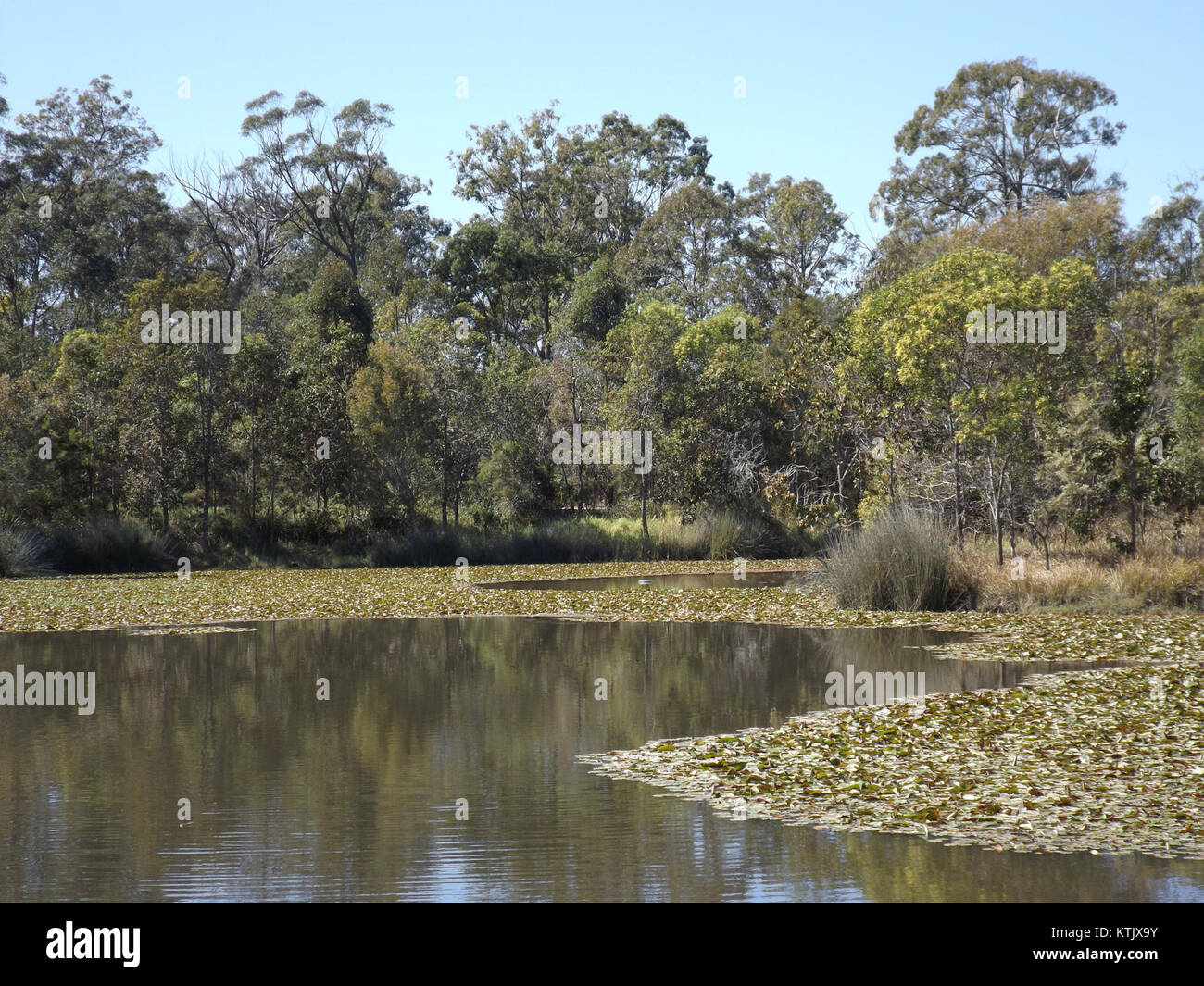 The *Berrinba Wetlands Lake 3* is part of the Berrinba Wetlands ...