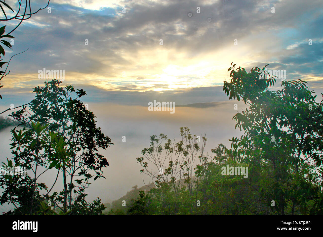 This image showcases a scene from Bario, a location with significant cultural and natural ...