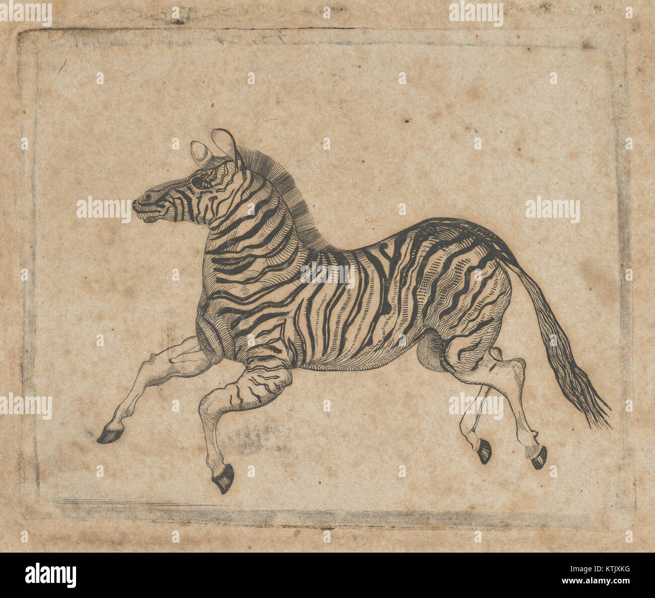 This vignette, featured on a banknote, depicts a zebra and is part of ...