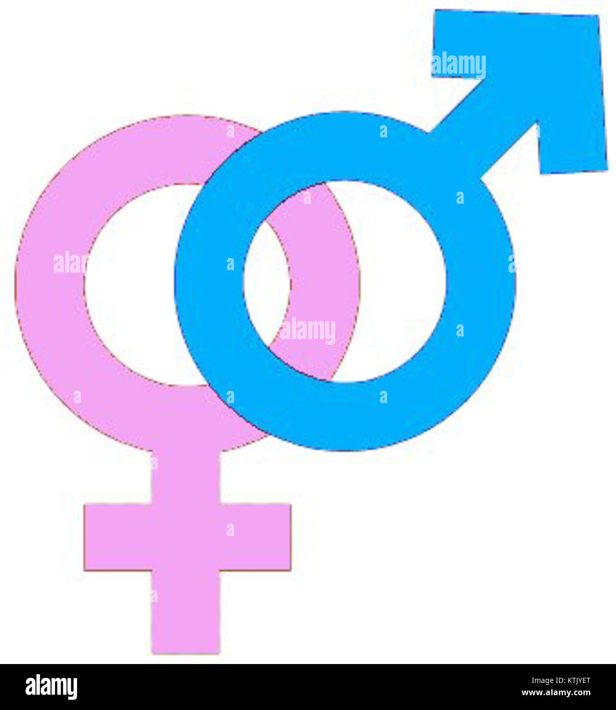 Female Differences Cut Out Stock Images & Pictures - Alamy