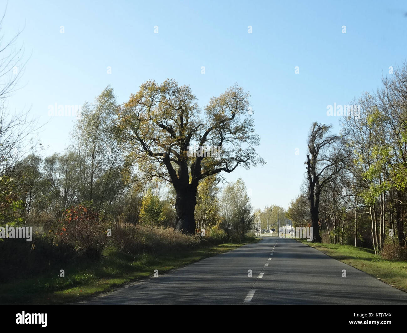 Torun landmarks hi-res stock photography and images - Alamy
