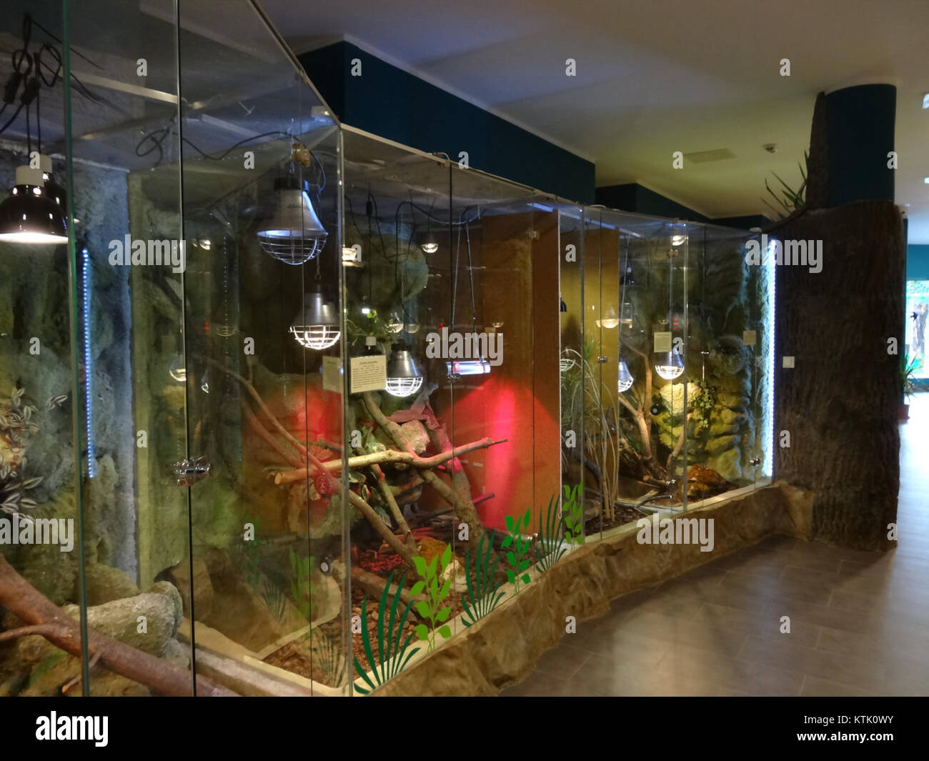 The zoo's terrarium features a variety of reptiles and amphibians. It ...