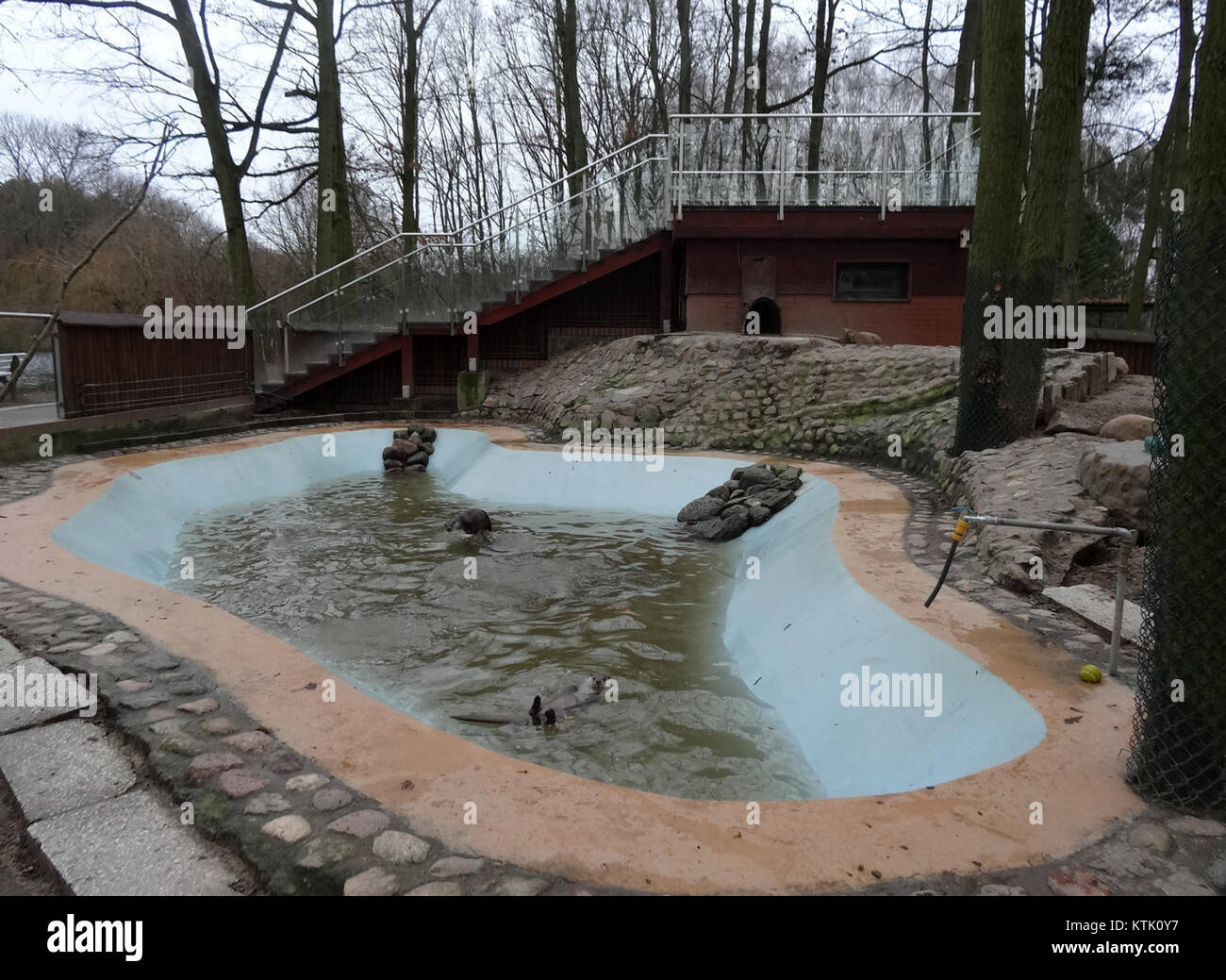 A snapshot from a zoo building on December 24, 2014. The image ...