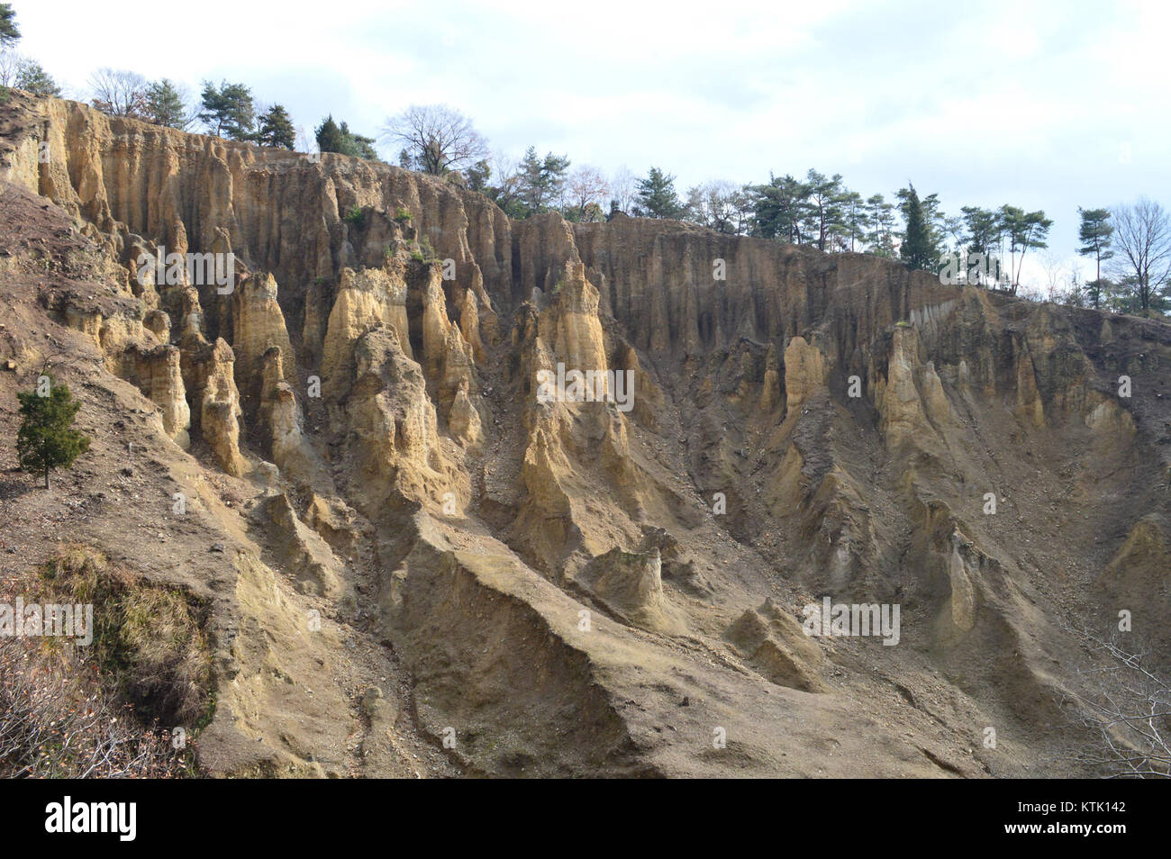 A photo or artwork depicting the beautiful views from Awano-dochu ...