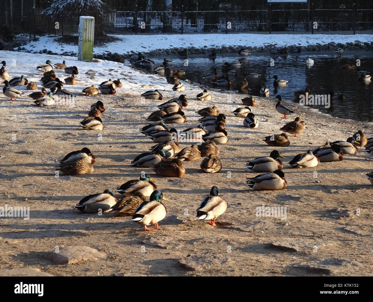 The building at Zoo 28, photographed on January 28, 2015, is a part of ...