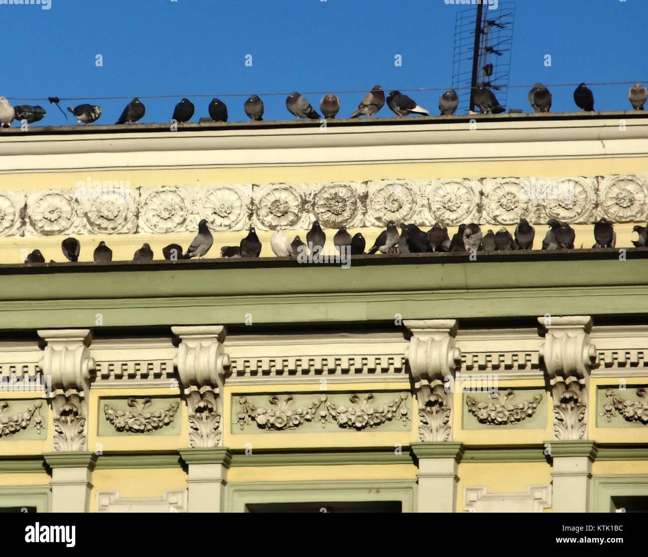 This image captures a scene from Stary Rynek (Old Market Square) in ...