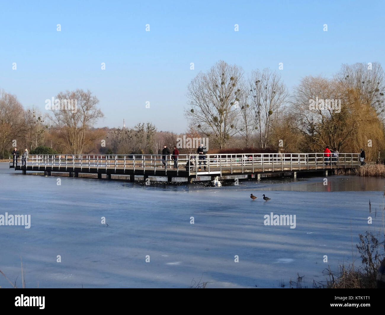Bdg LKPiW pond refers to a specific body of water or pond in a given ...