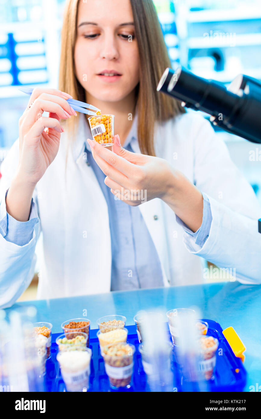 Selective and genetic work with seeds and grains in a scientific ...