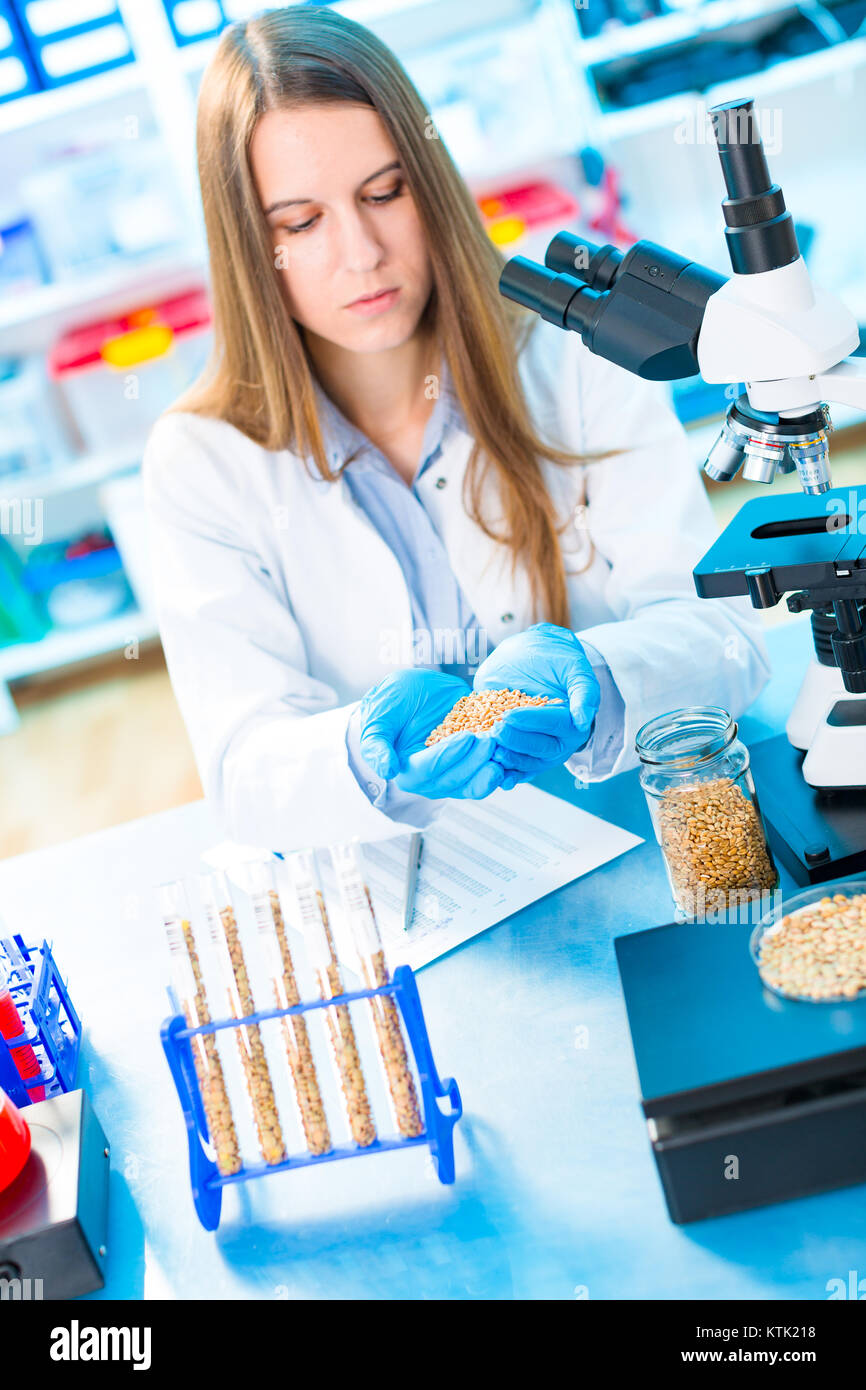 Selective and genetic work with seeds and grains in a scientific ...