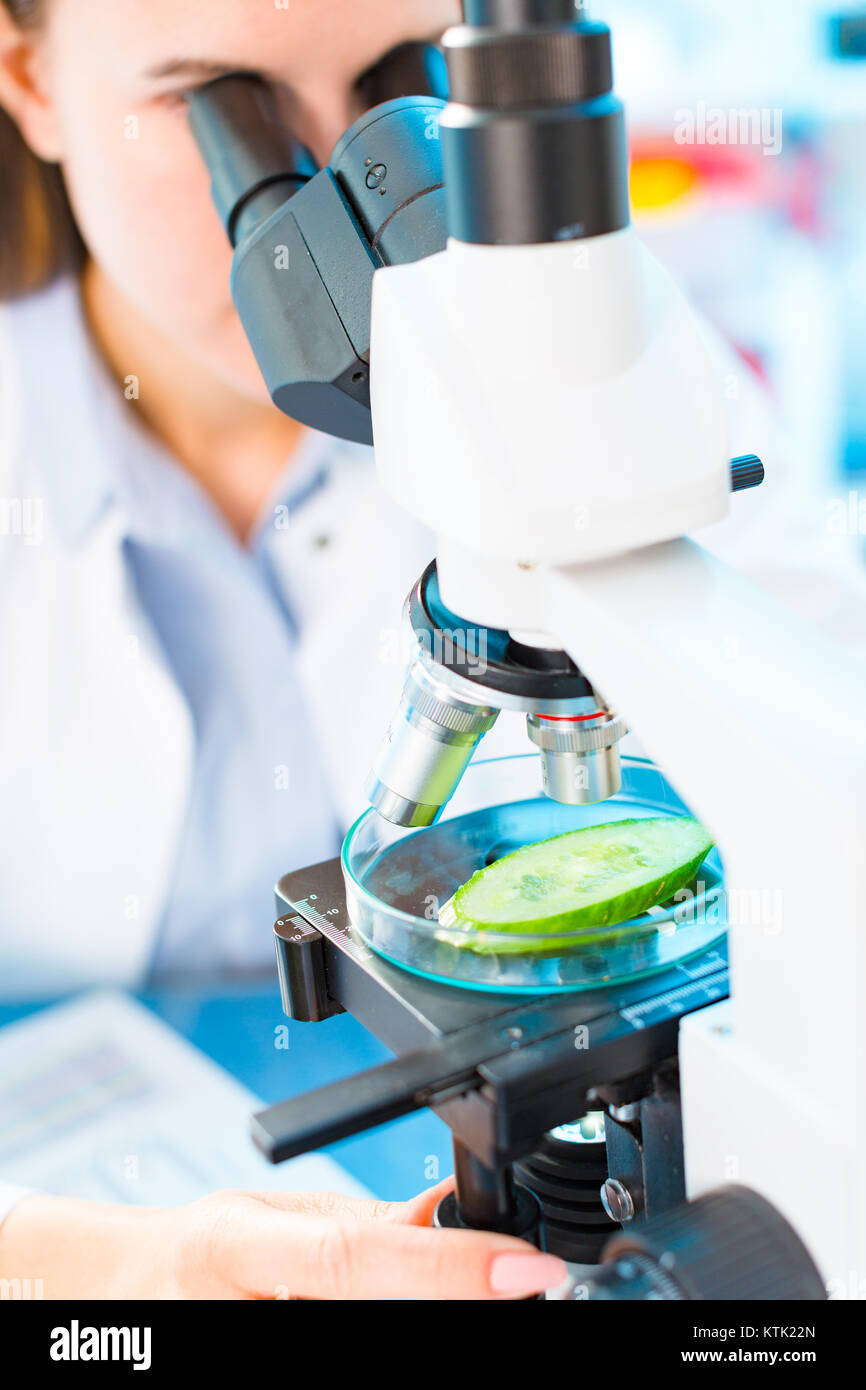 Checking fruit and vegetables for harmful elements. Laboratory for ...