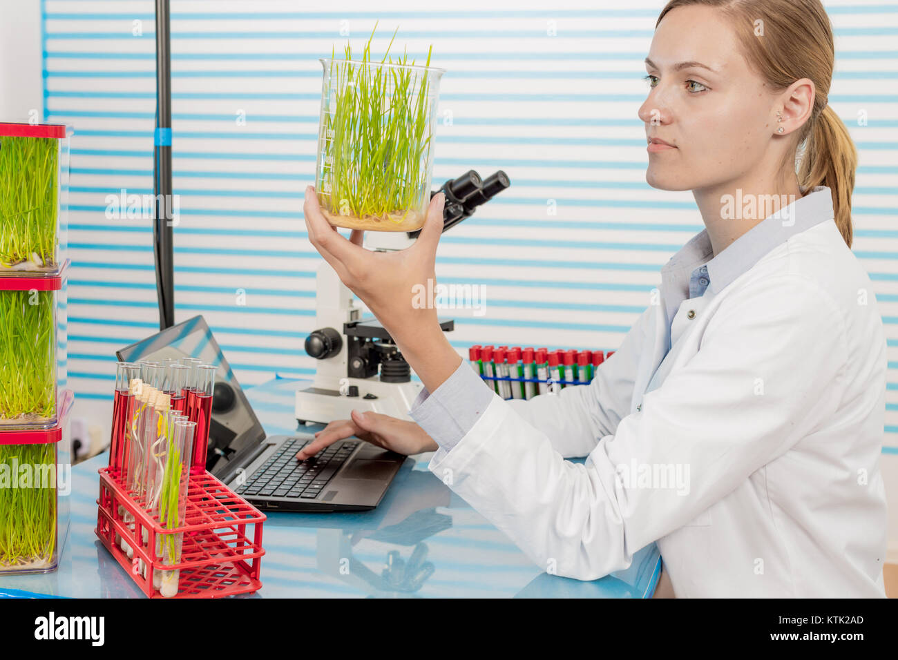 scientist with green plant in modern laboratory. woman study of genetic ...
