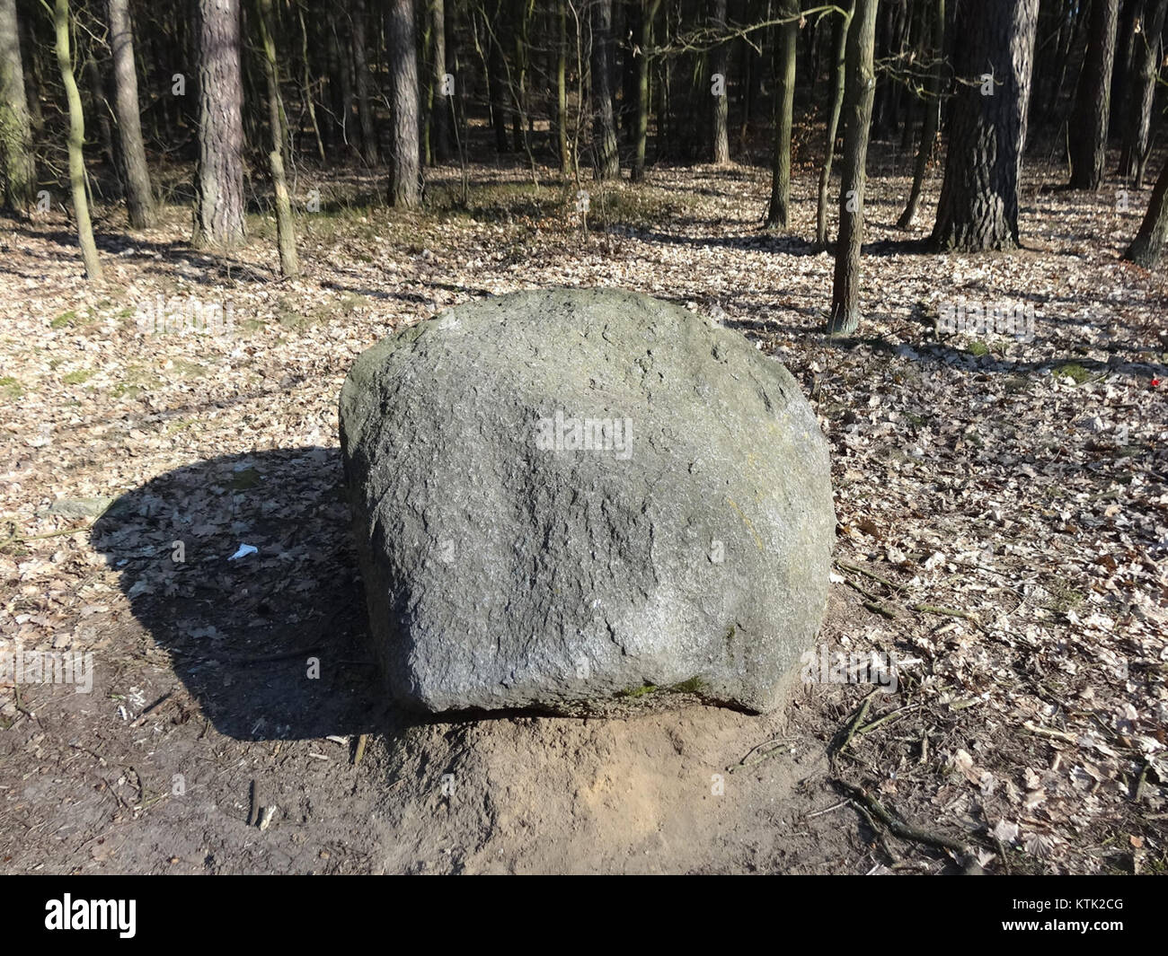 This image captures the Piaski Las area, showcasing a forest landscape ...