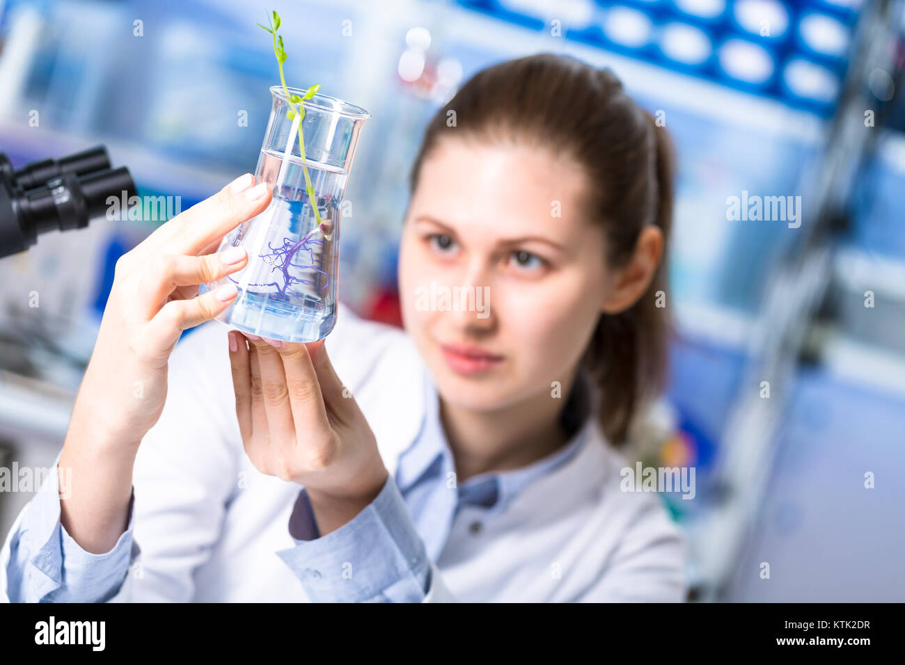 Plant tissue culture lab hi-res stock photography and images - Alamy