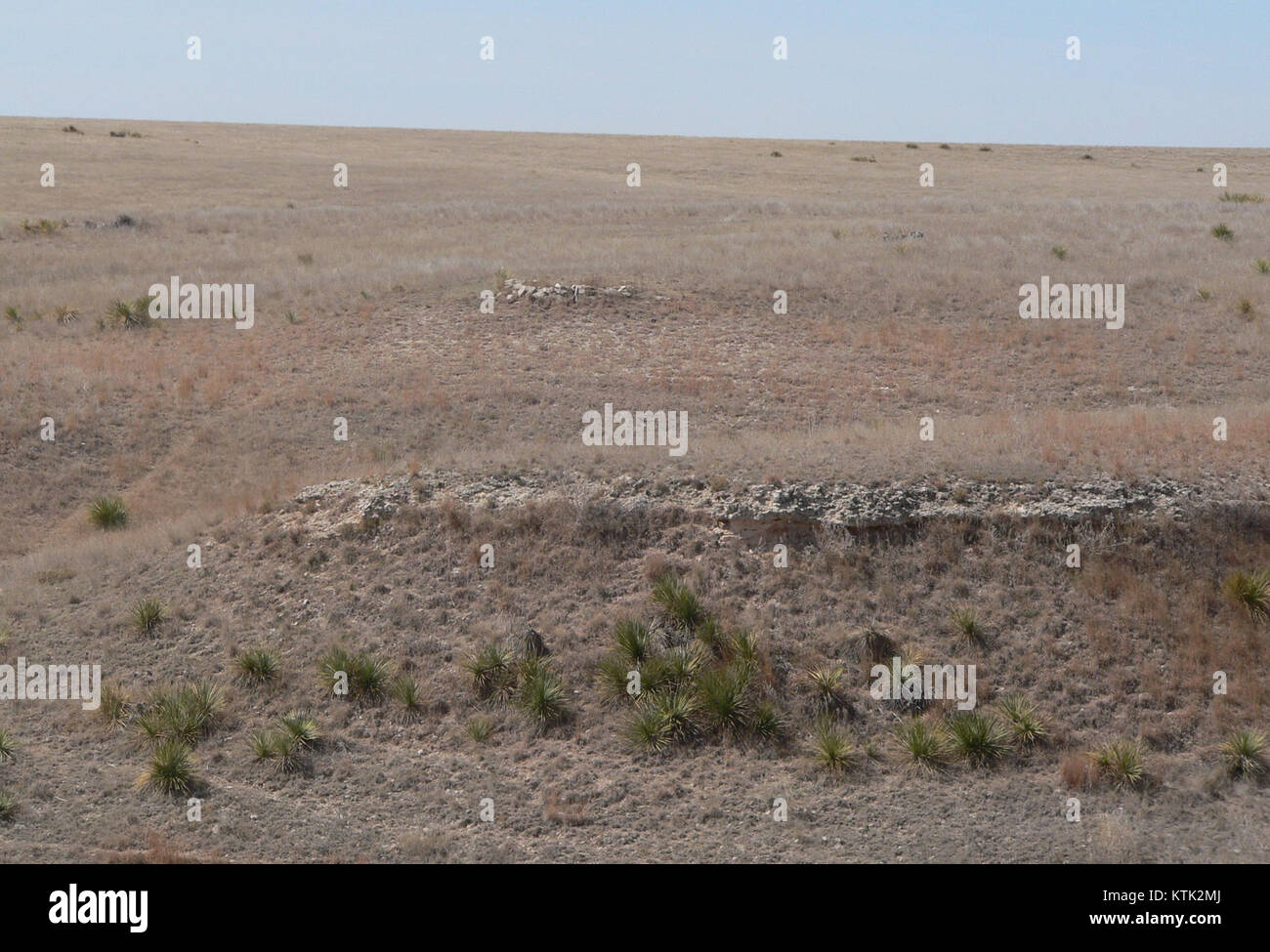 Pit 1 hi-res stock photography and images - Alamy