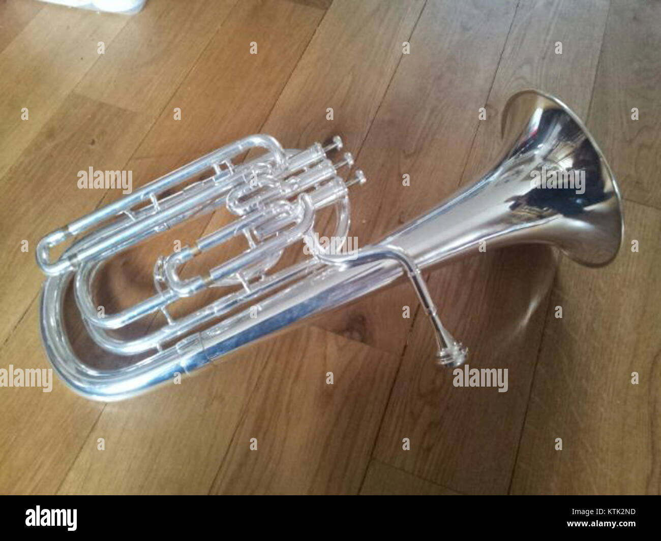 The baritone horn is a brass wind instrument known for its rich, warm ...