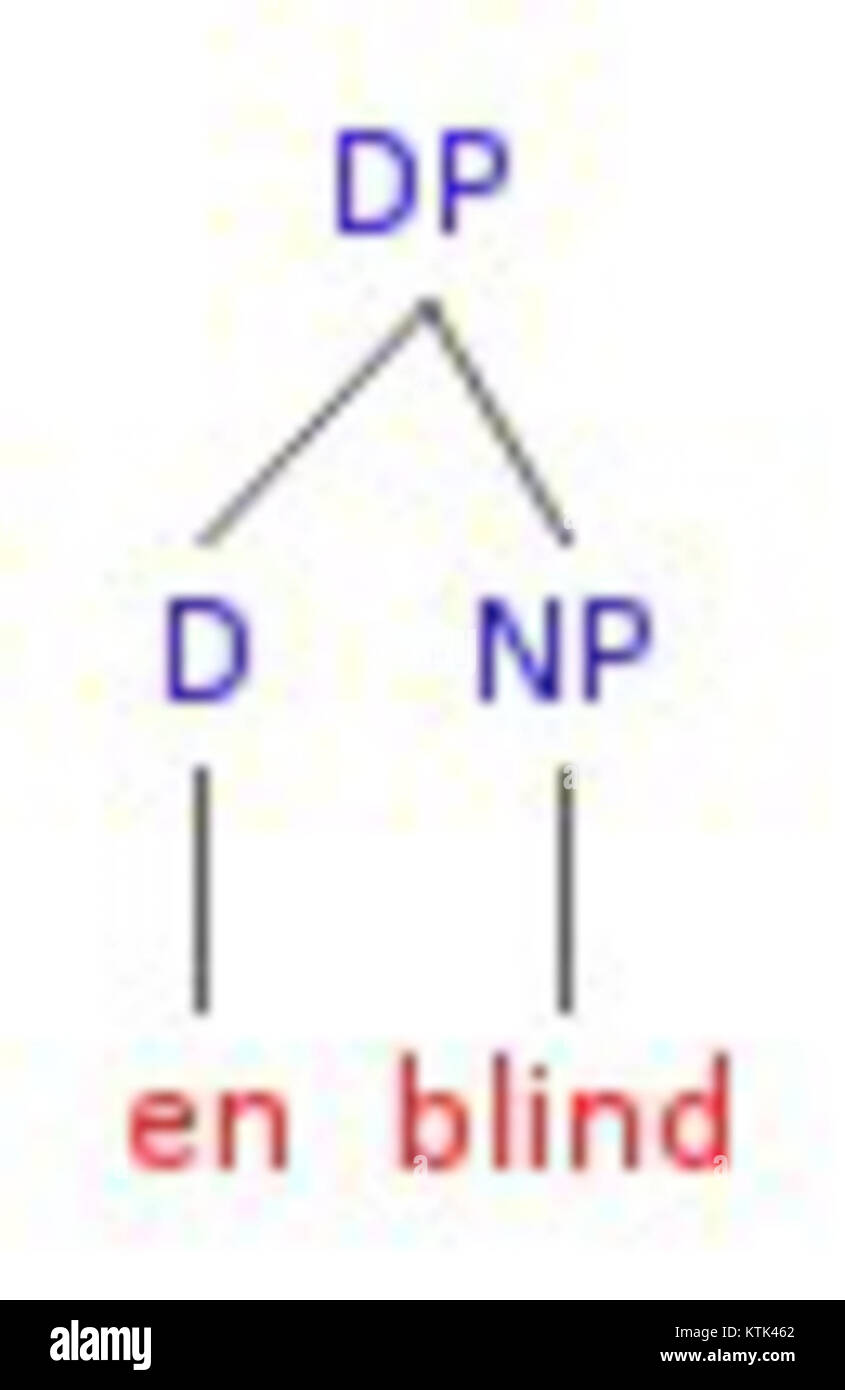 This is a diagram illustrating a noun phrase structure, showing both ...