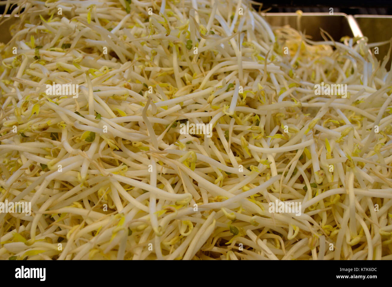 Bean Sprouts Supermarket is a retail store, likely focused on providing ...