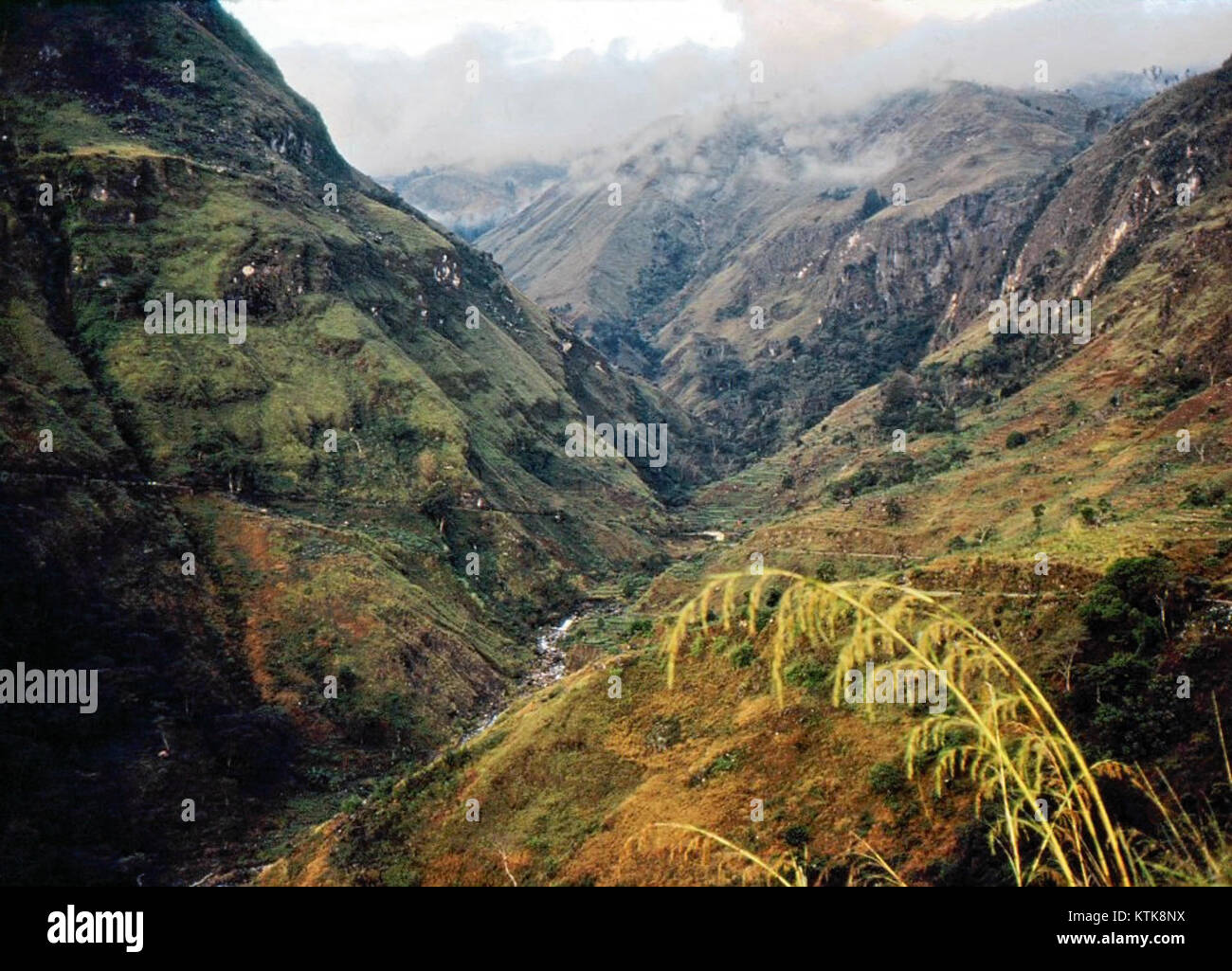 81 photograph hi-res stock photography and images - Alamy