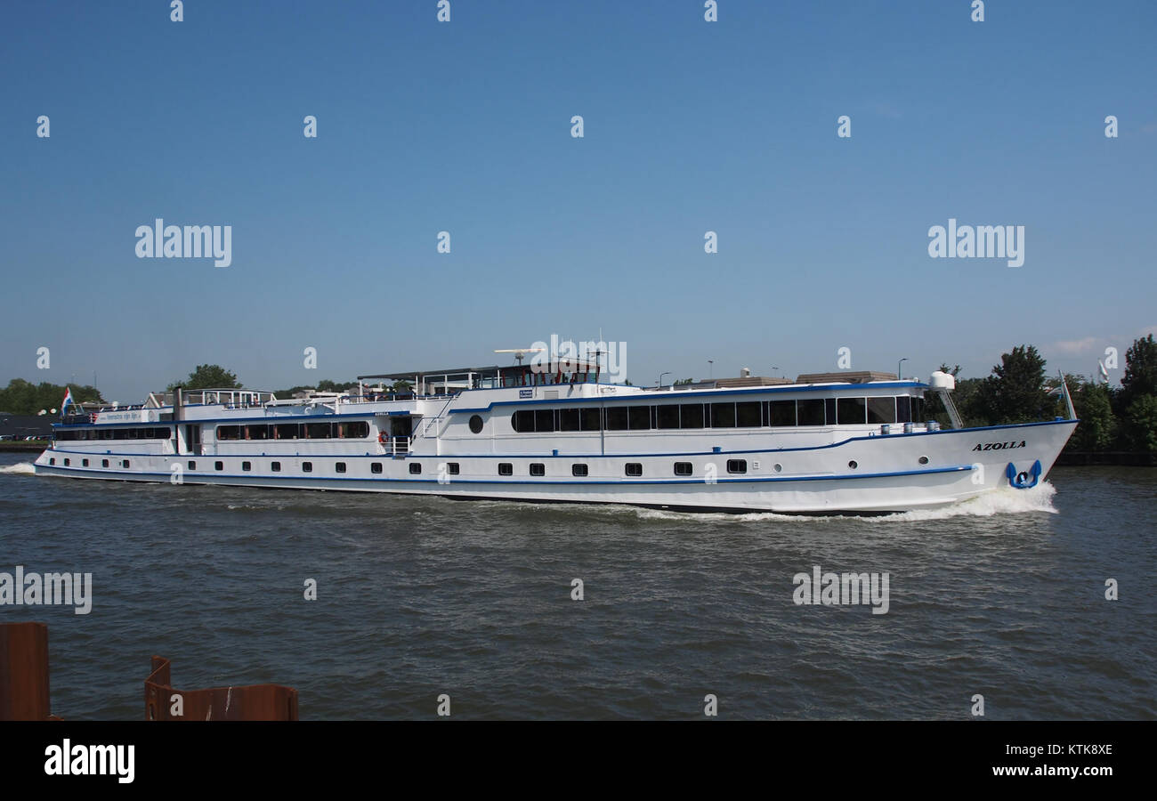 This image appears to show Azolla, a type of aquatic fern, in the ...