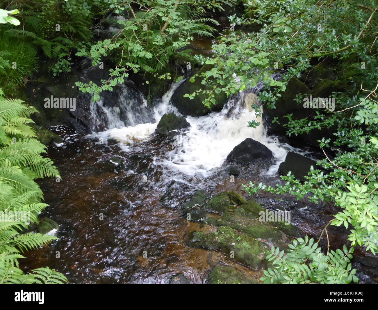 Balmaha Inversnaid 3 Stock Photo - Alamy