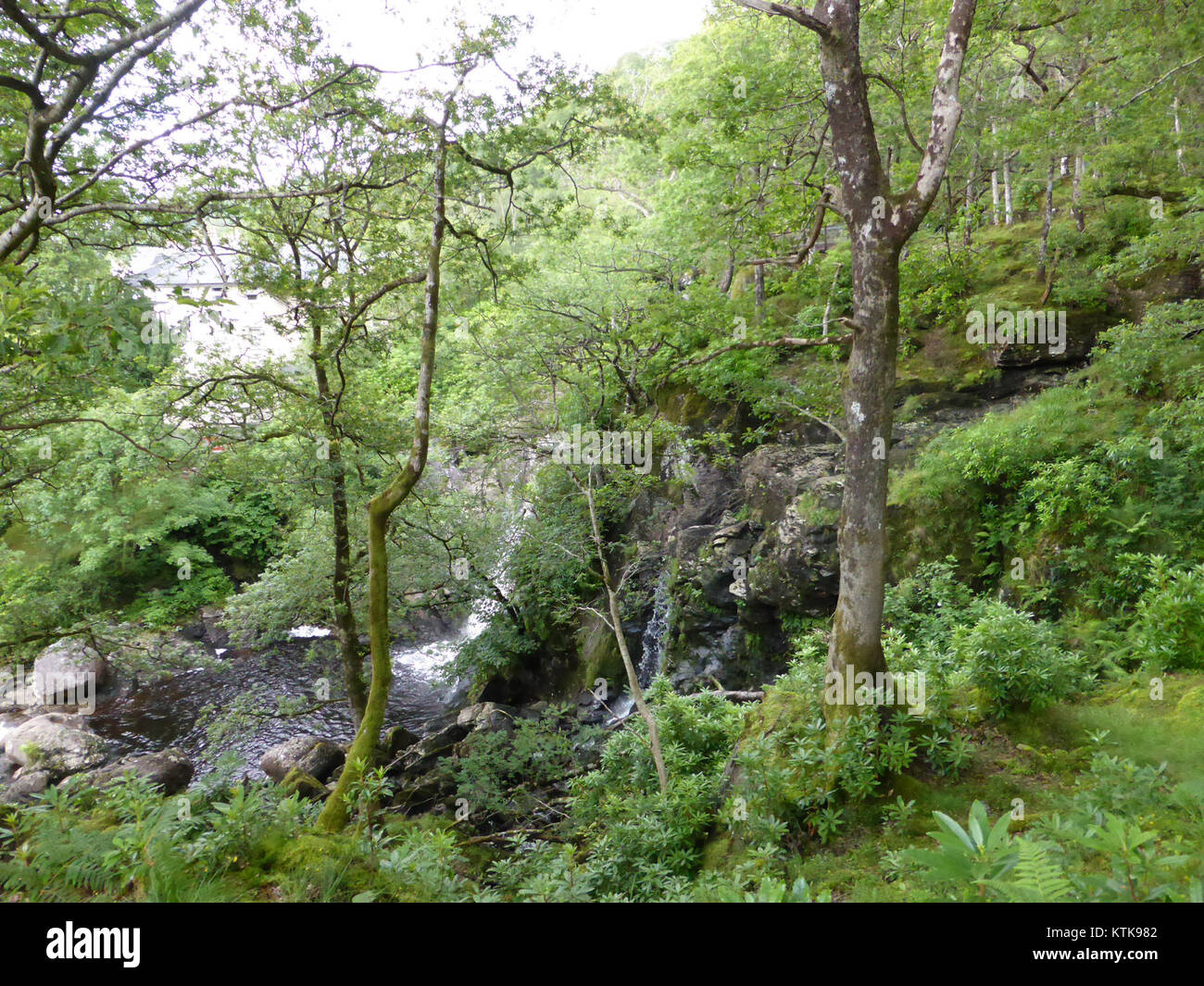 Balmaha Inversnaid 34 Stock Photo - Alamy