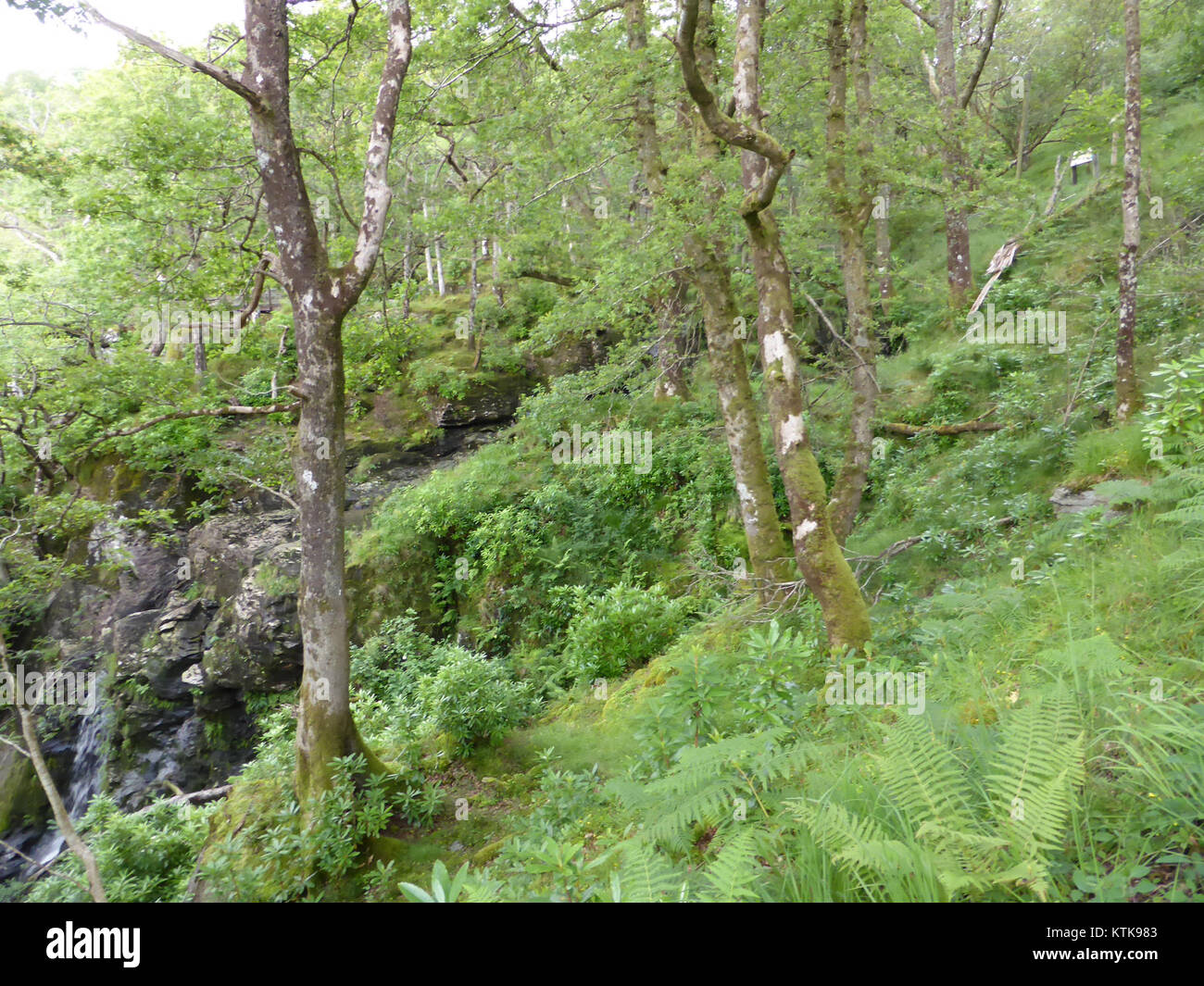 Inversnaid ancient hi-res stock photography and images - Alamy