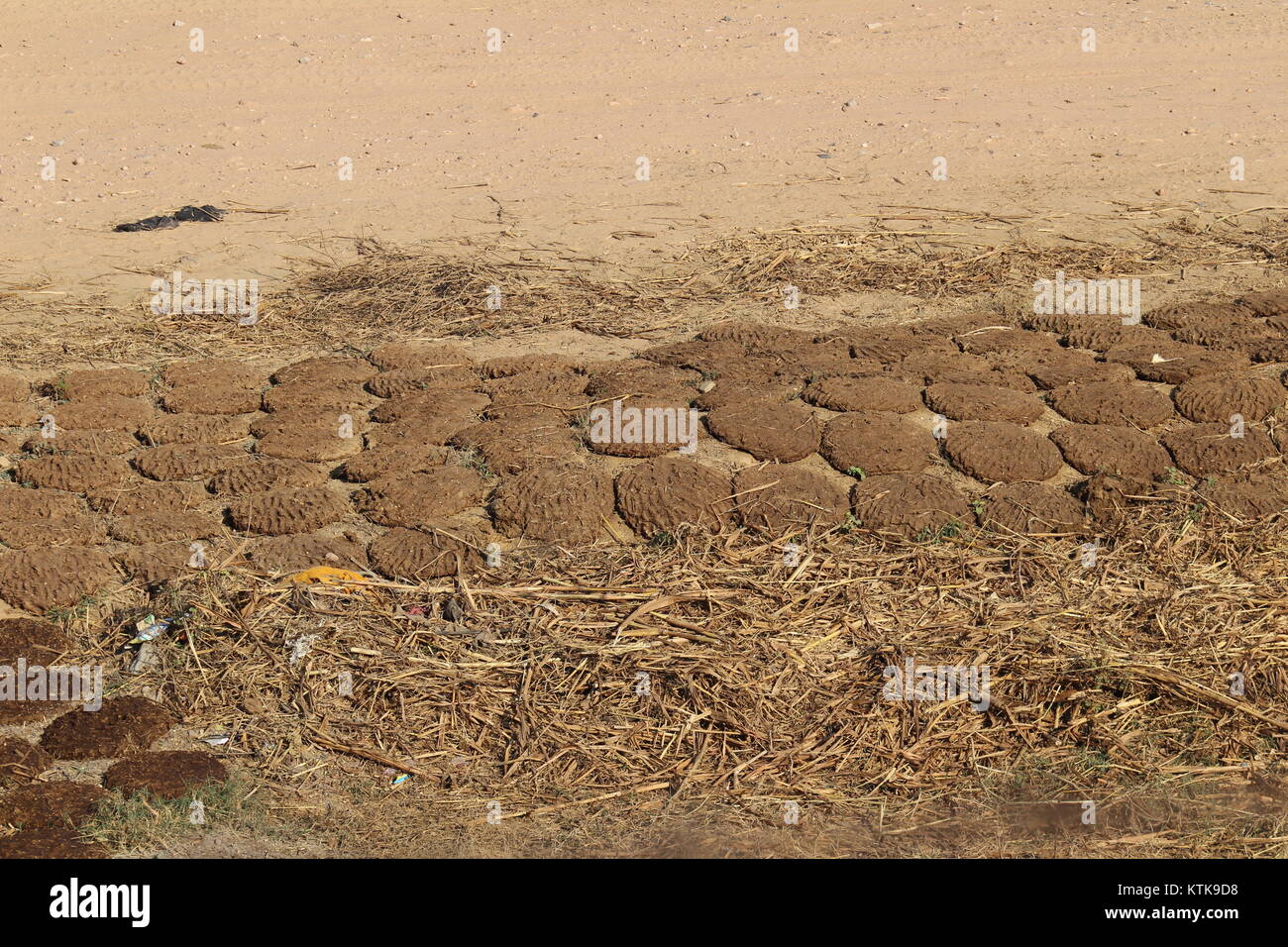 Cow dung rural india hi-res stock photography and images - Alamy