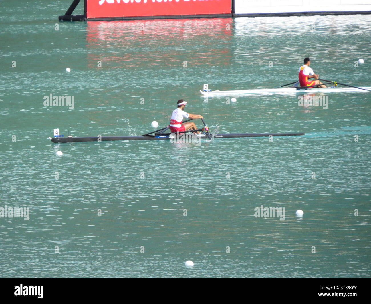 The 2015 Aviron World Rowing Championships was an international rowing ...