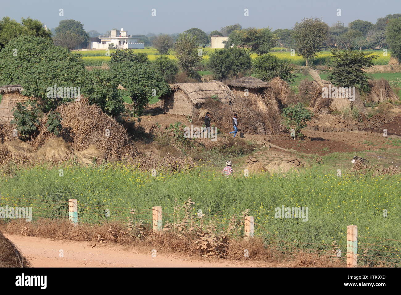 Uttar pradesh village hi-res stock photography and images - Alamy