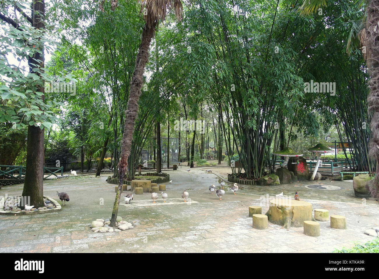 This image captures the view of the aviary in Tazishan Park, Chengdu ...