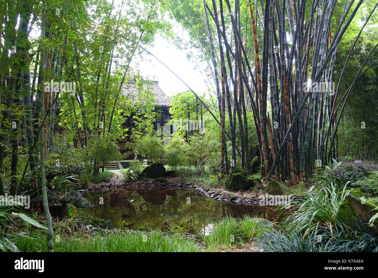 The Bamboo Pond at Wangjianglou Park in Chengdu, China, is a scenic ...