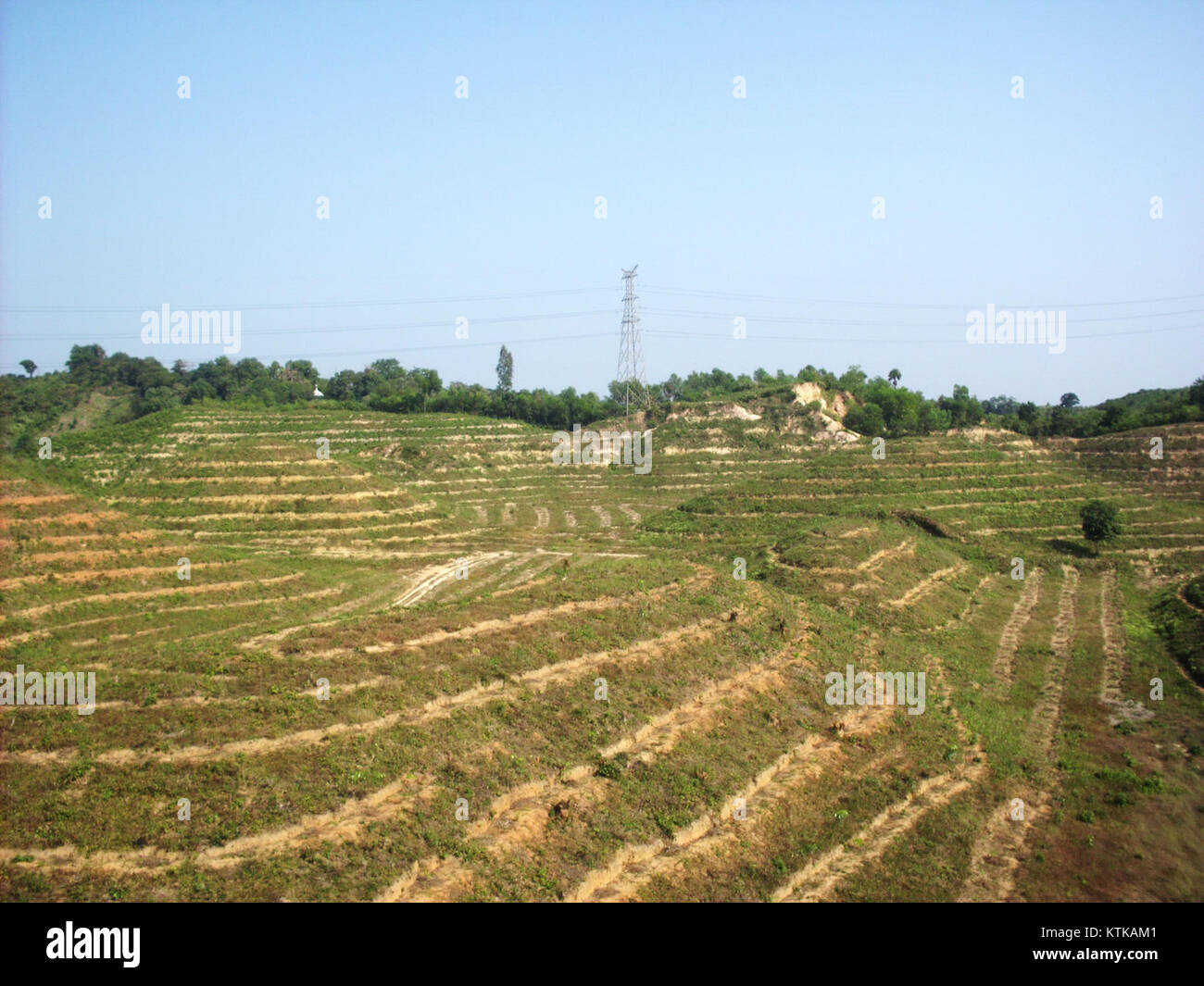 Cuet hi-res stock photography and images - Alamy