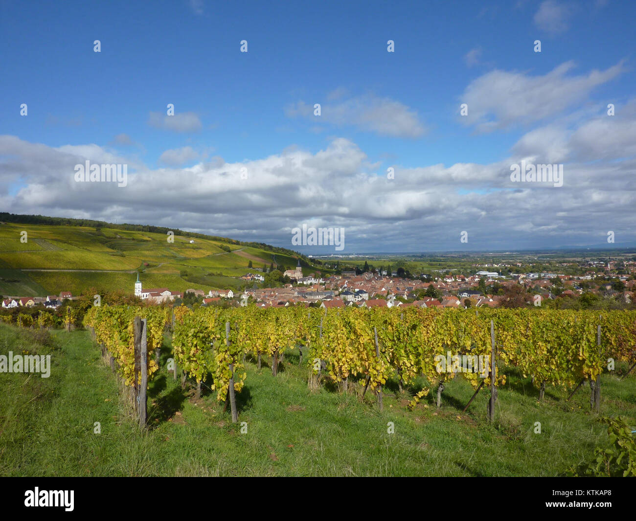 This photograph captures a moment from Barr, located in the Bas-Rhin ...