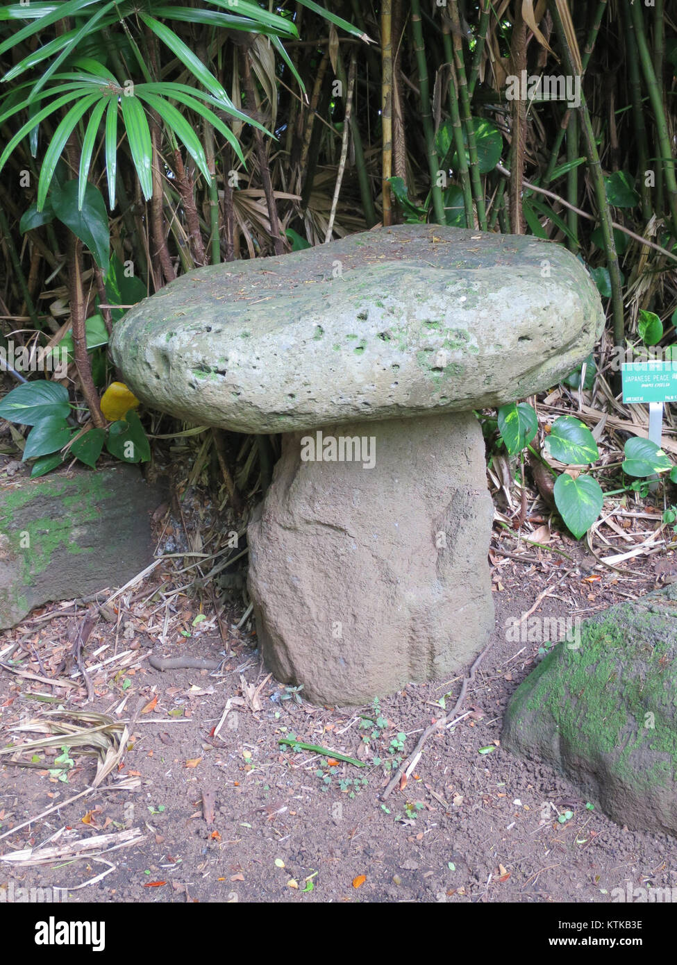 The Spalding House gardens in Honolulu feature balanced rocks, a ...