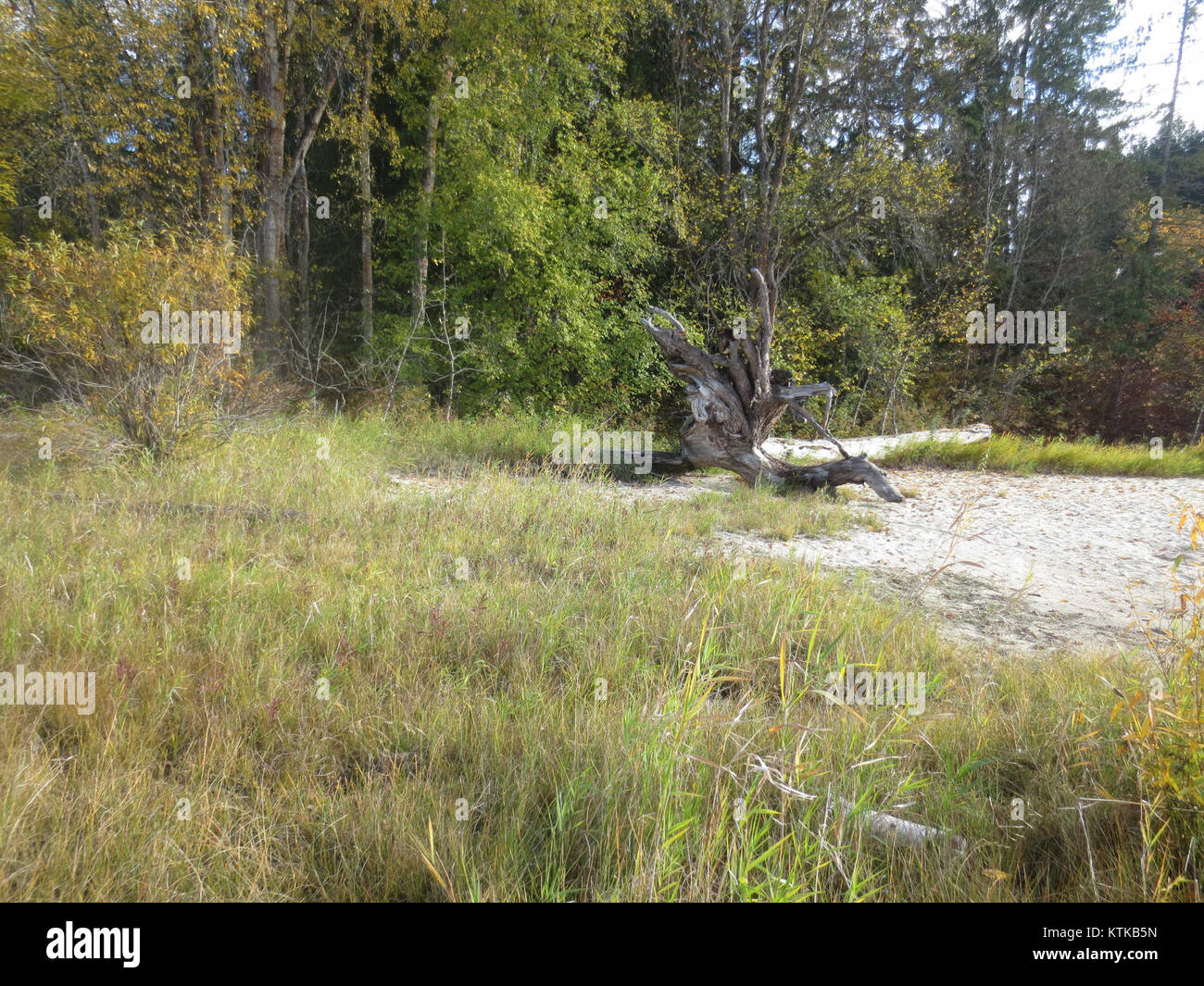 Mara provincial park hi-res stock photography and images - Alamy