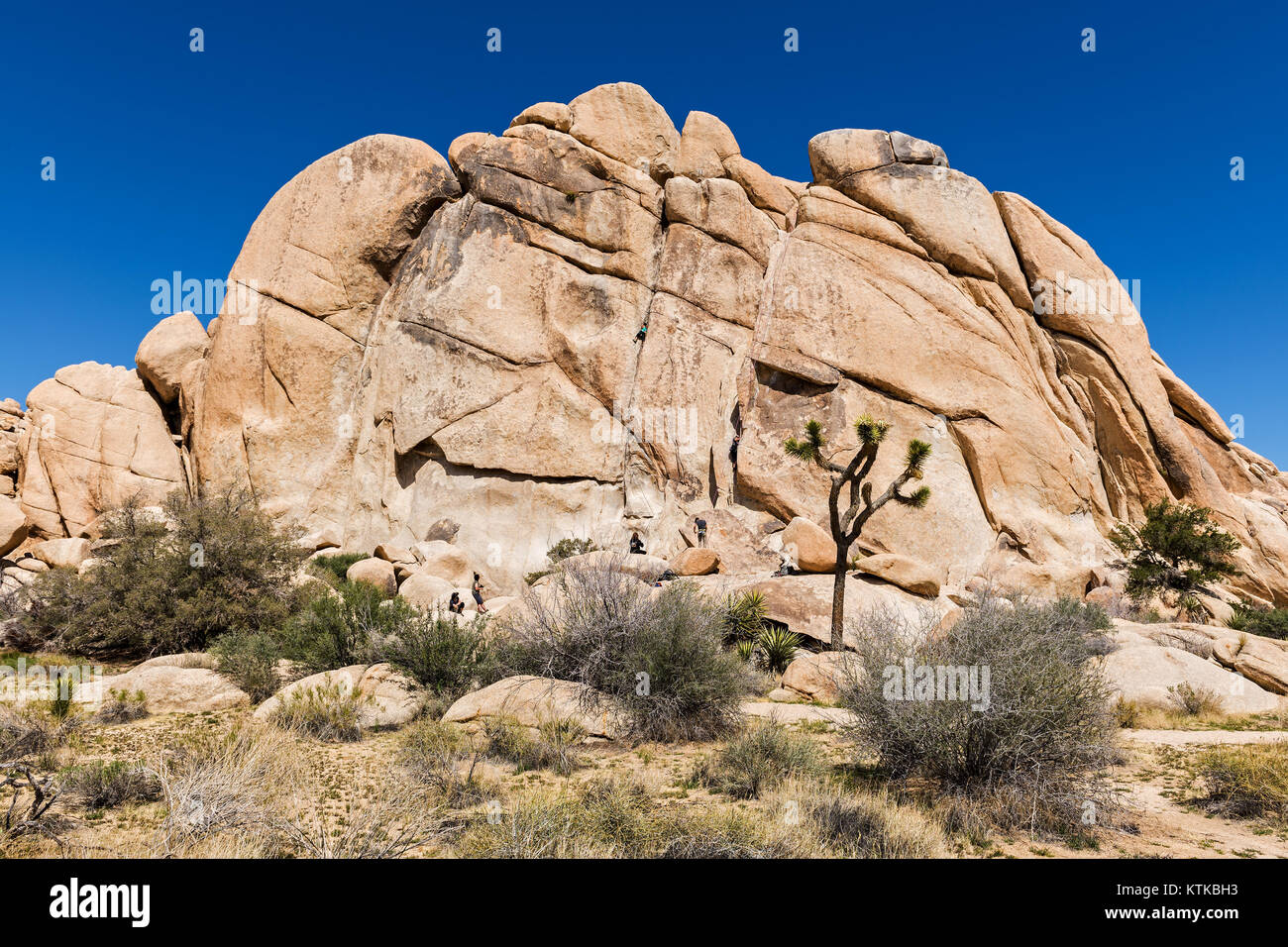 Giant Rocks in the Joshua Tree National Park, Mojave desert, California ...