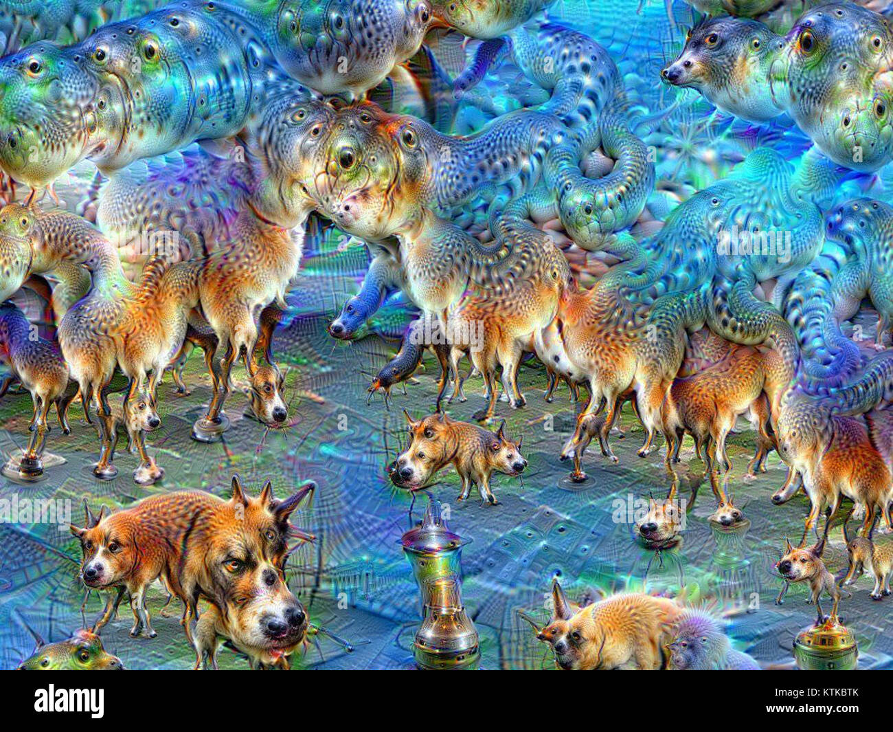 Microscopic image of *Aurelia aurita*, commonly known as the moon ...