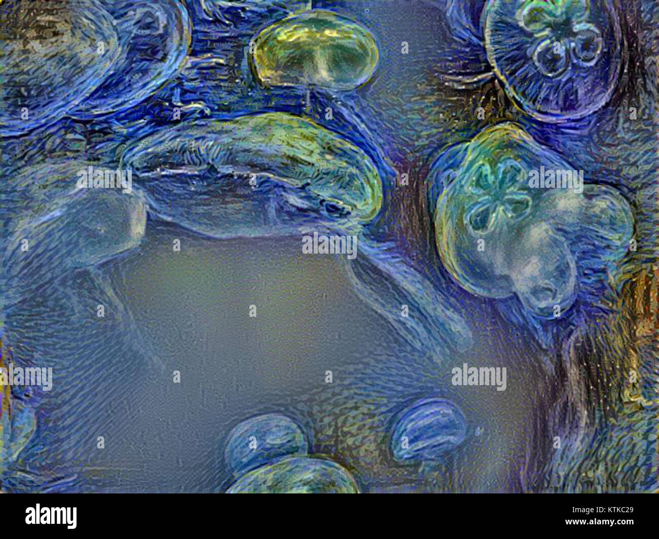 Aurelia aurita, commonly known as the moon jellyfish, is an ocean ...
