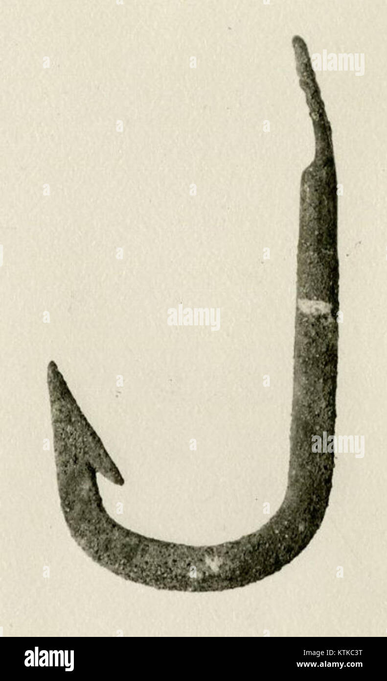 This barbed fishhook, from the collection of the Metropolitan Museum of ...