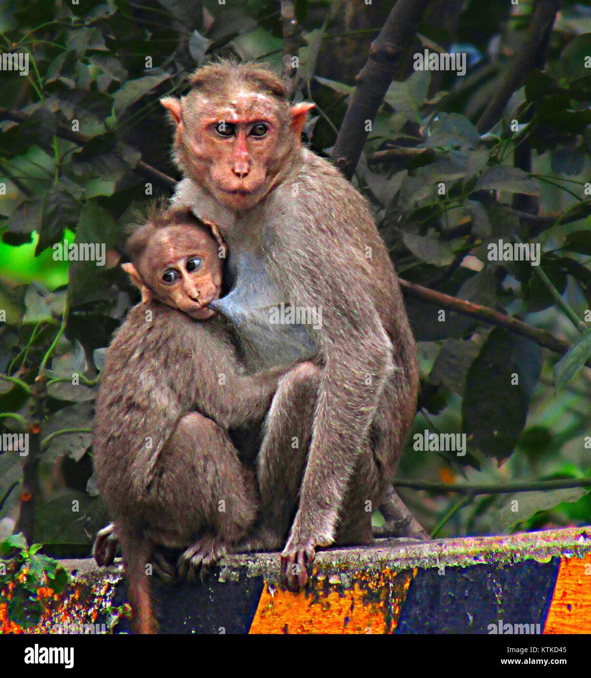 Baby care encompasses a range of practices and products designed to ...