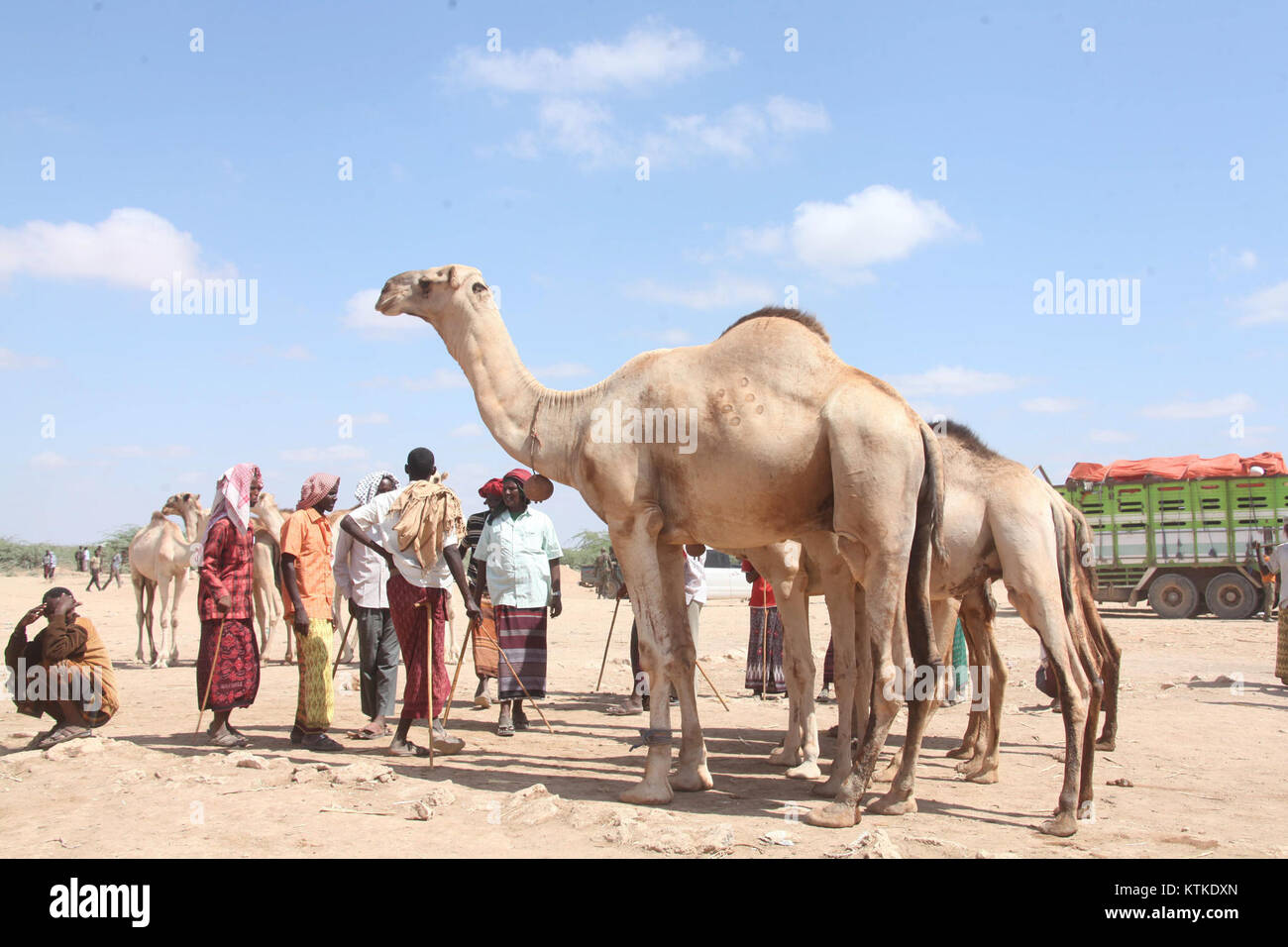 The Beletweyne Animal Market is a marketplace in Beletweyne, Somalia ...