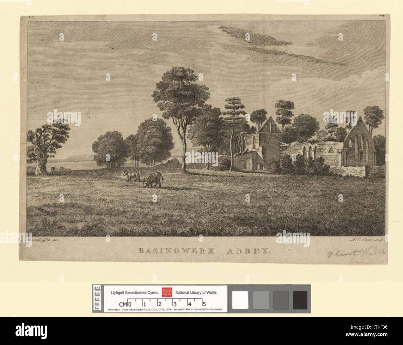 Basingwerk Abbey, located in Wales, is a historic site founded in the ...