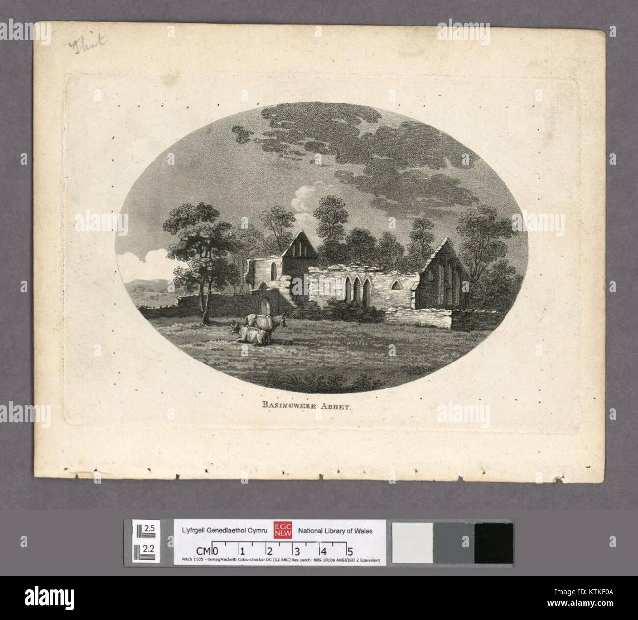 Basingwerk Abbey is a historical site in Wales, known for its medieval ...