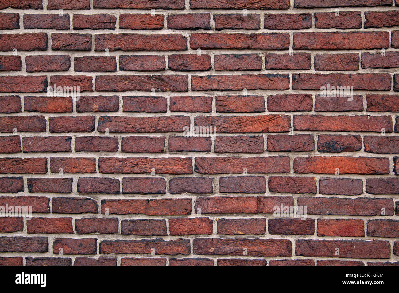 Backdrop 2153 is a visual representation, likely related to photography ...