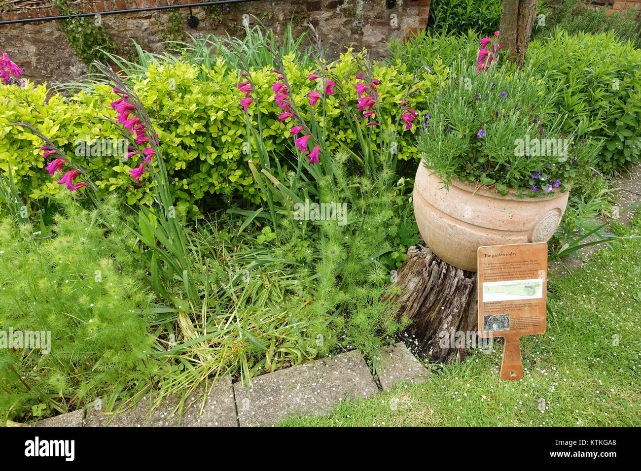 The back garden of Coleridge Cottage in Nether Stowey, Somerset ...