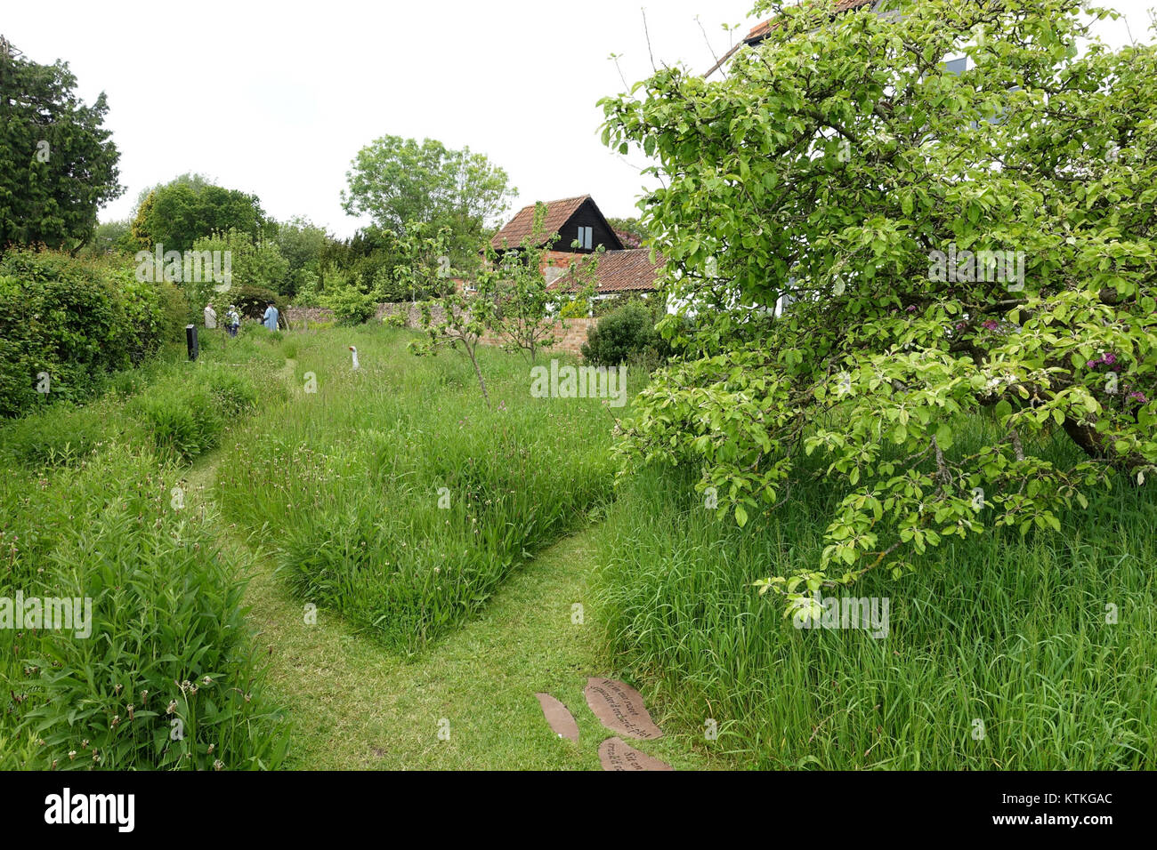 The back garden of Coleridge Cottage in Nether Stowey, Somerset ...