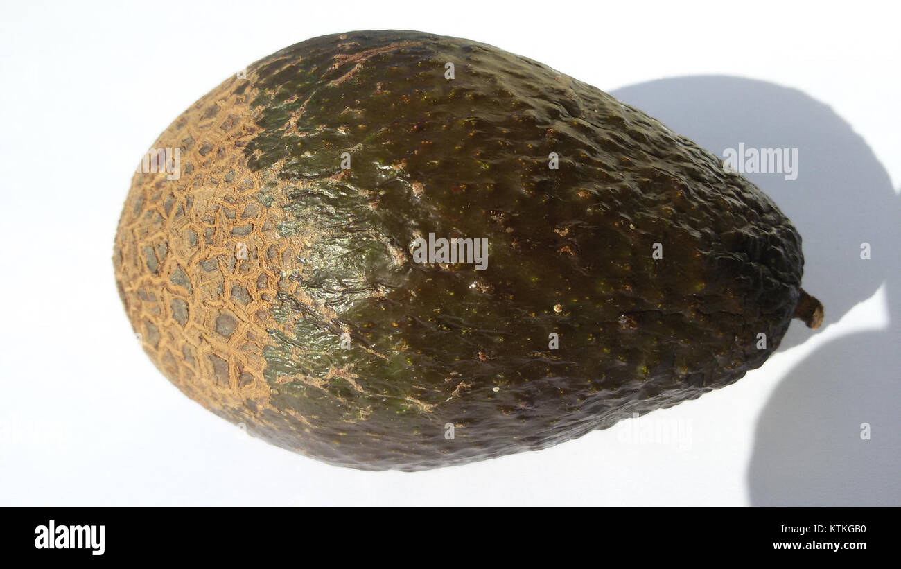 Avocado scab 2016 B1 Stock Photo - Alamy
