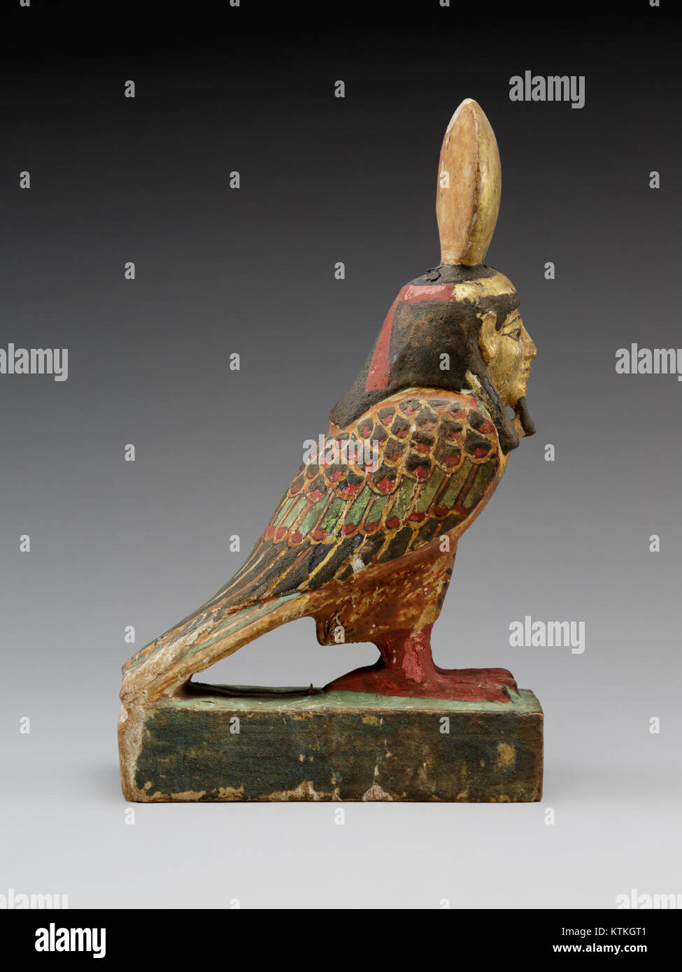 Avian species classification hi-res stock photography and images - Alamy