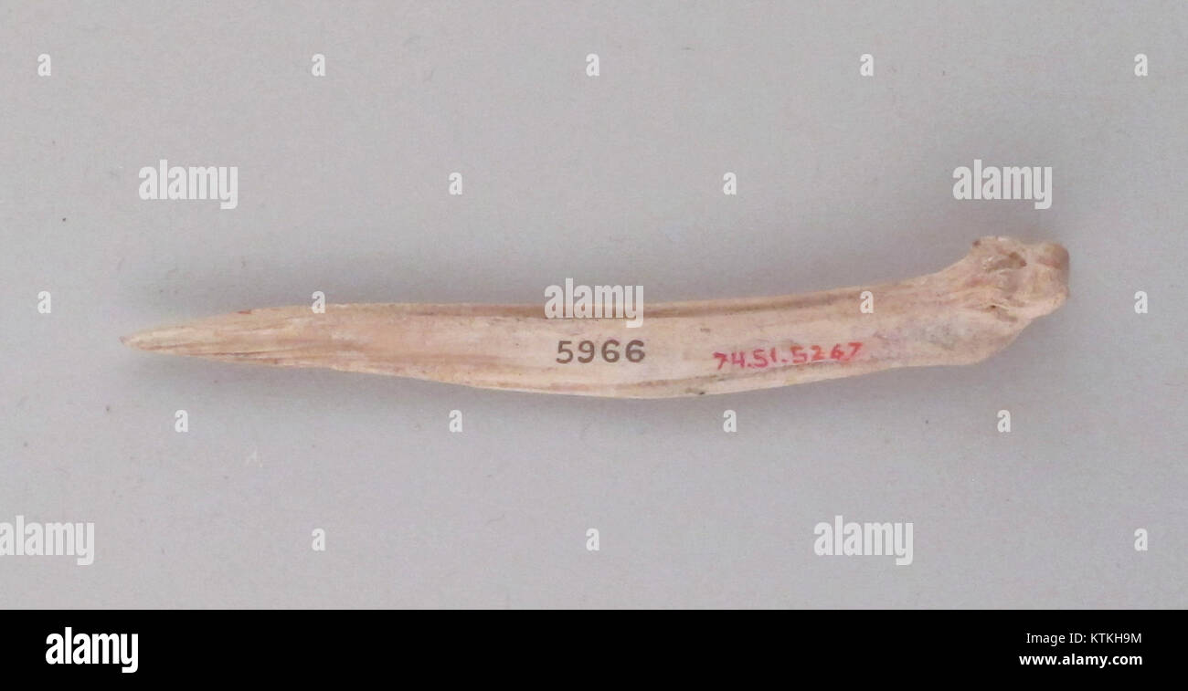 This awl, part of a historical tool collection, was used for various ...