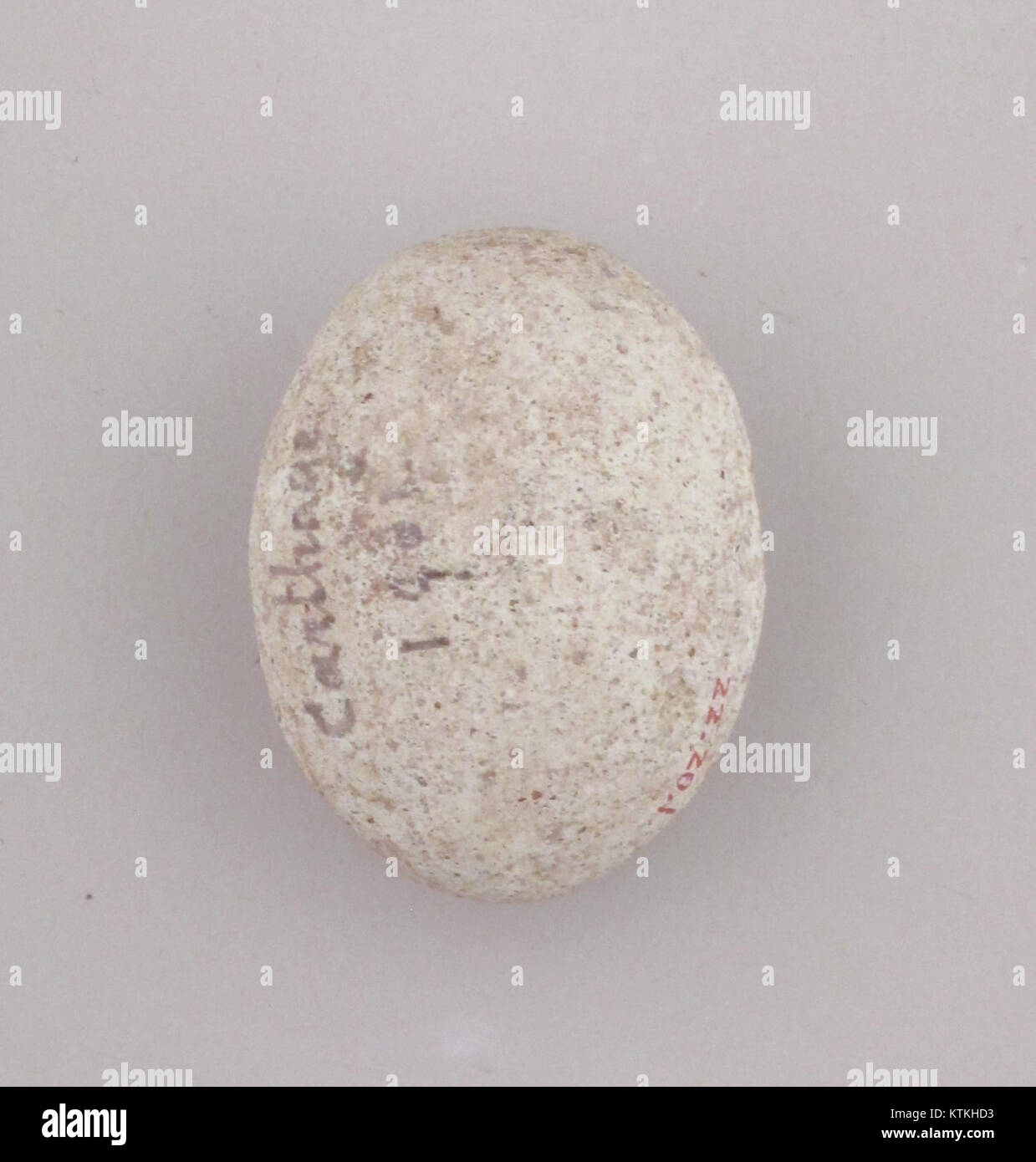 This item, a slingball, is an ancient weapon used for projectile ...